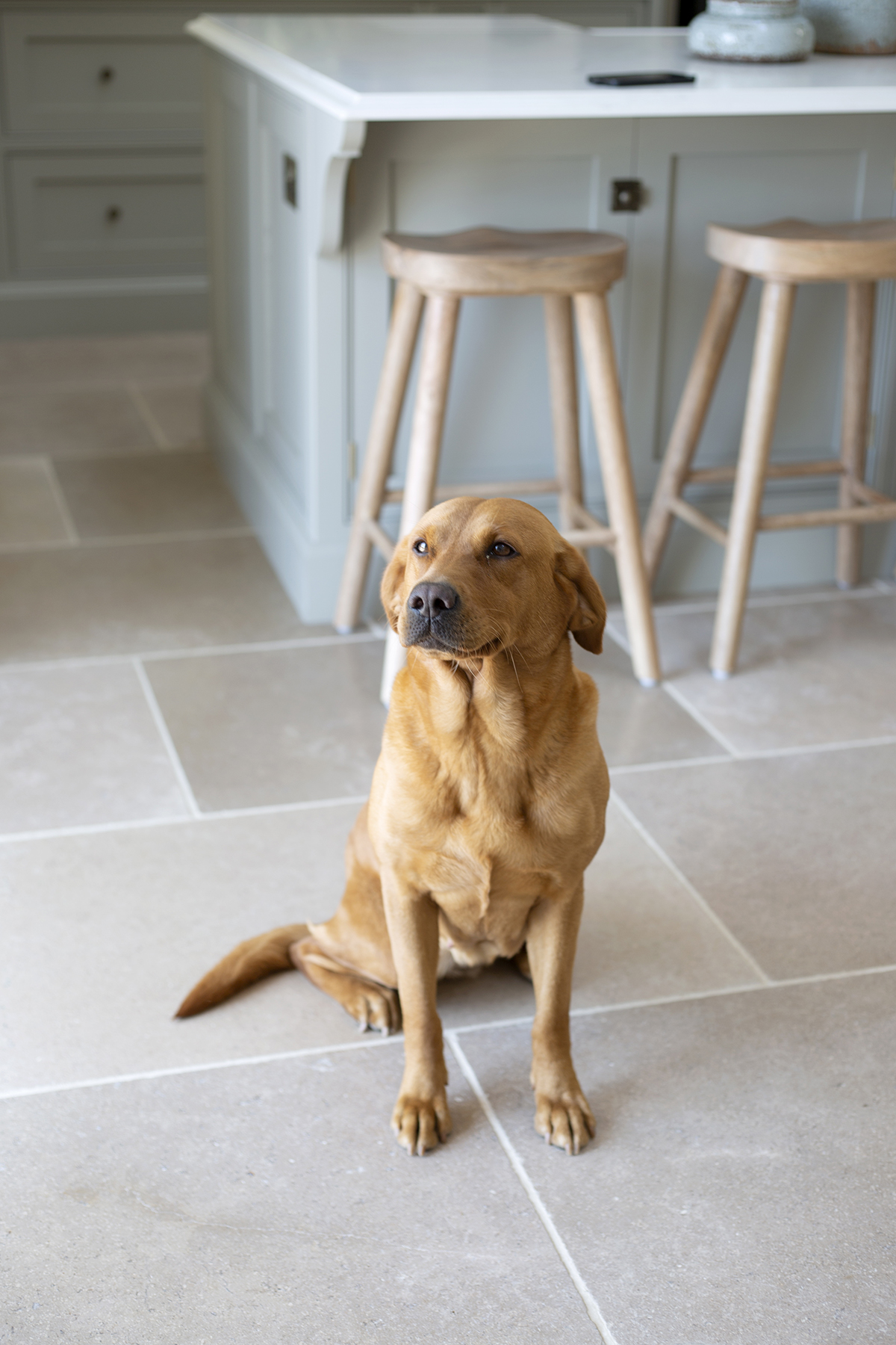 A Barn Conversion Using Dijon Limestone (Case Study)