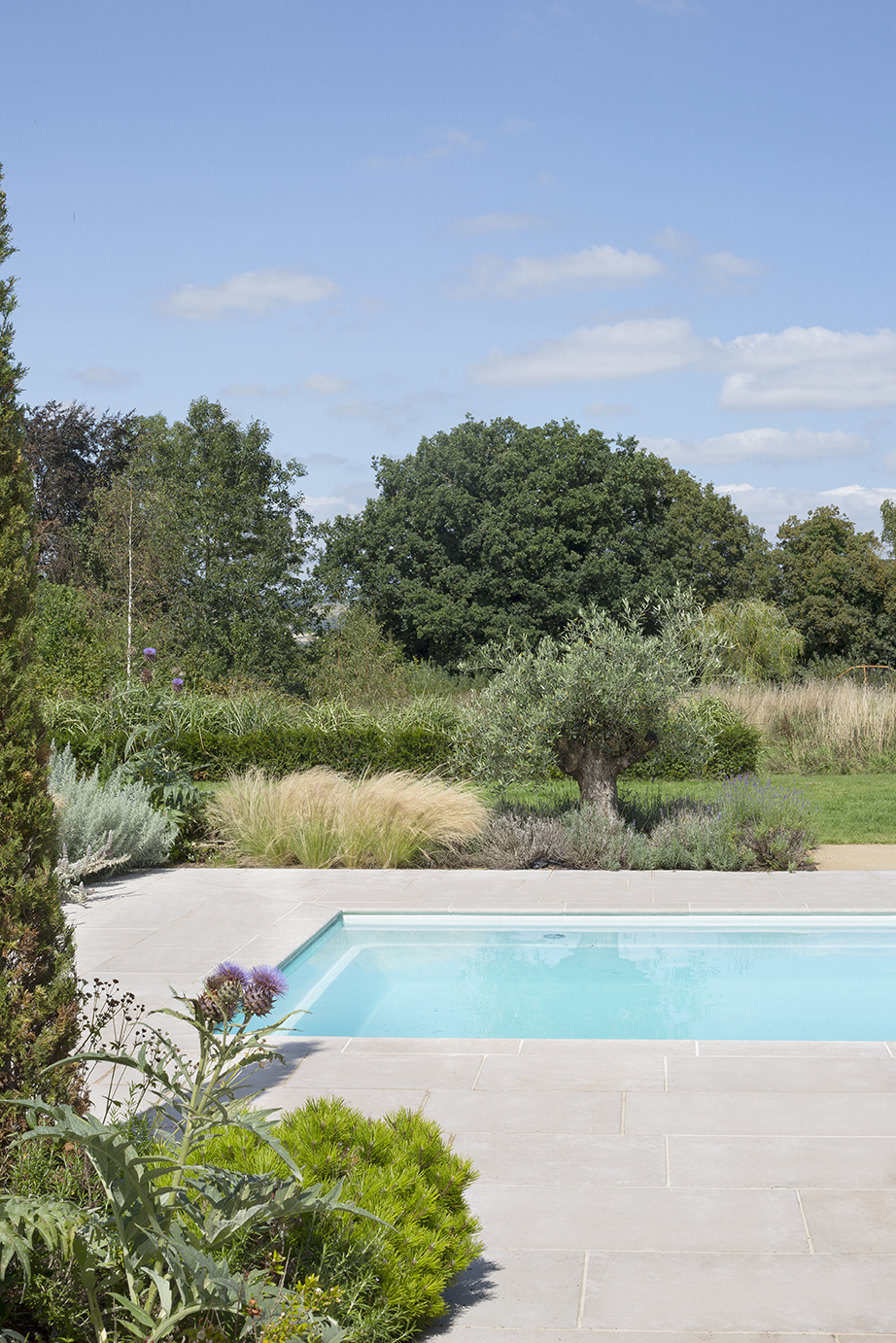 Using Dijon Limestone Paving To Create A Pool Garden